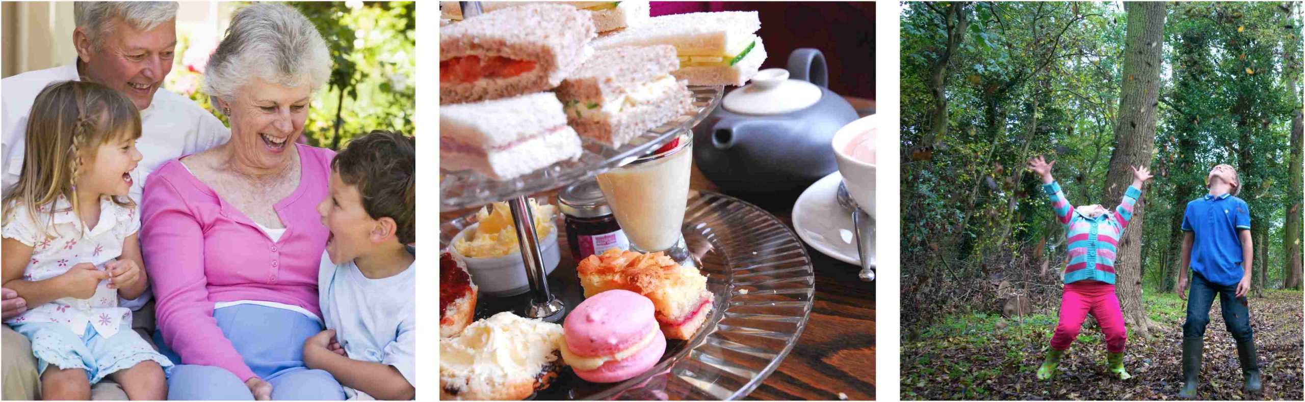 Family Holidays Top Ideas - Party Houses UK